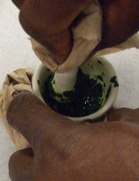 15 Photosynthesis Lab