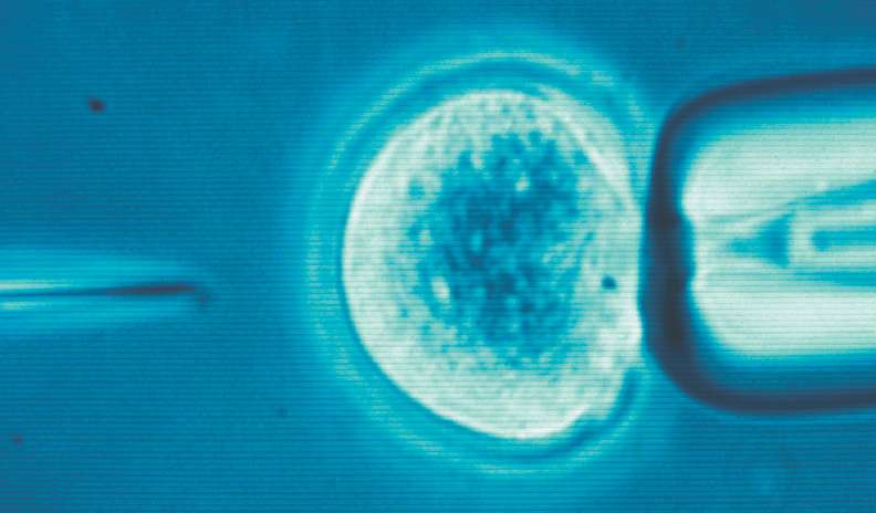 nuclear_injection.html 22_05-nuclear_injection.jpg